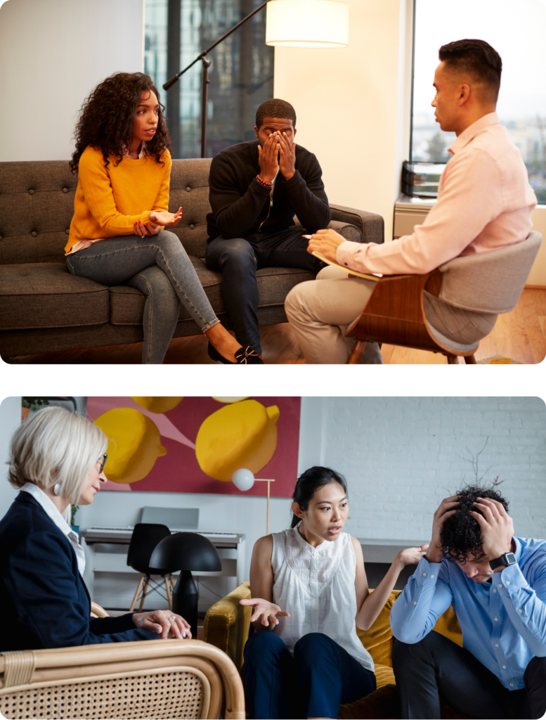 Couple Therapists Workshop - Terry Real Homepage